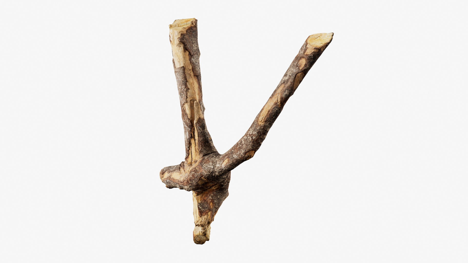 Scanned Tree Wood 08 3D Model - TurboSquid 2414078