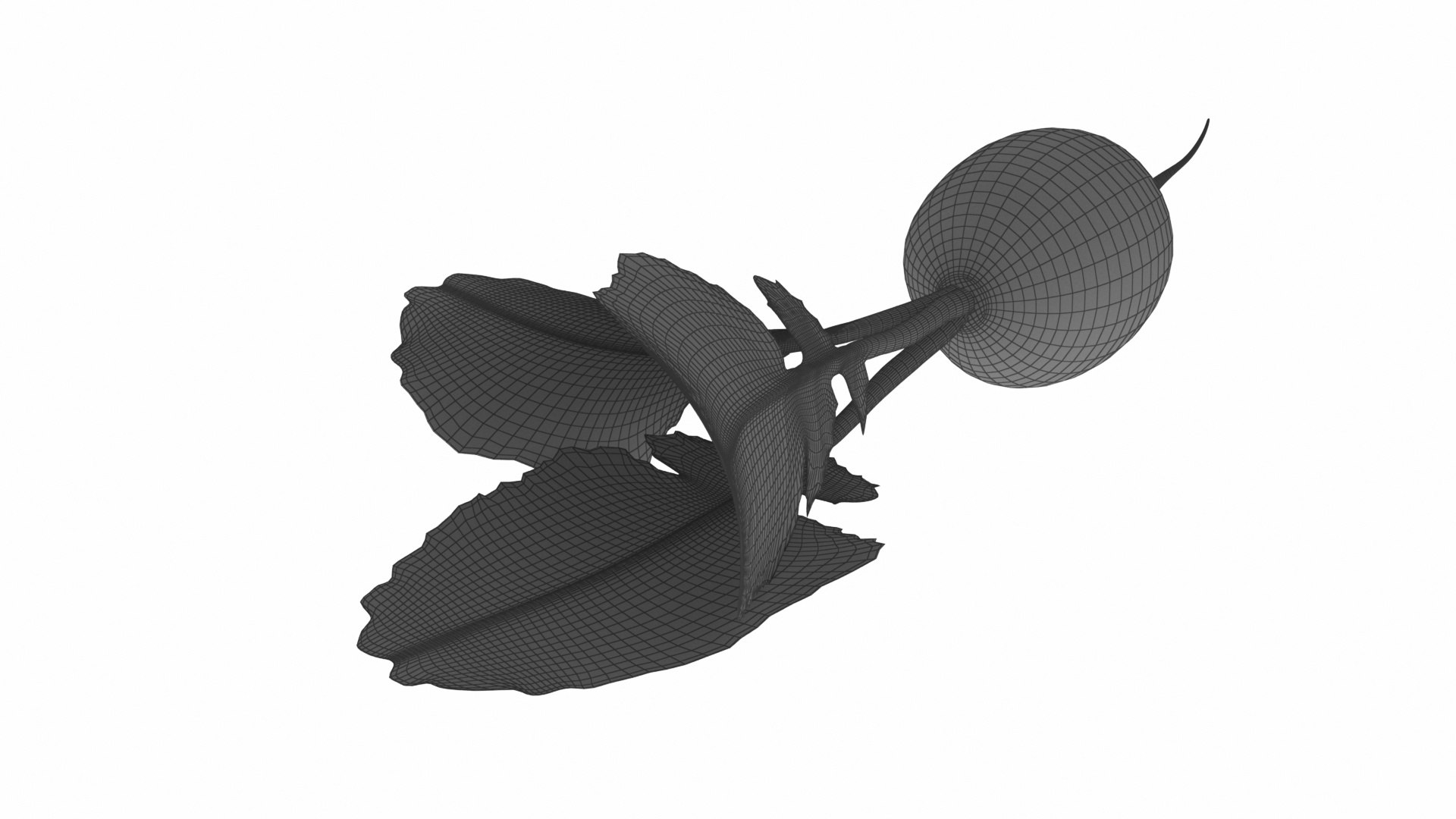 Radish Realistic Real 3D Model - TurboSquid 1553684