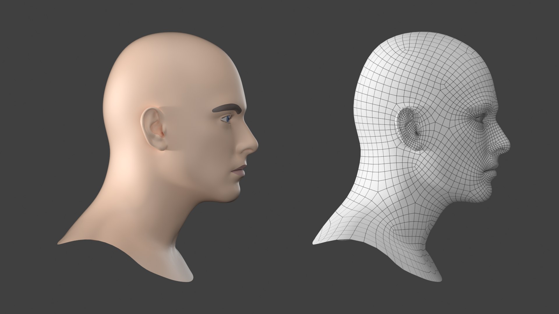 3D model Natural Male Head 01 Generic Mesh - TurboSquid 1836003