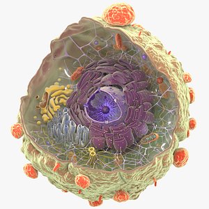 Download Free & Premium Cancer Cell 3D Models | TurboSquid
