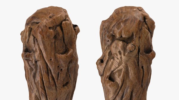 3D Prehistoric Wooden Caveman Club model - TurboSquid 1729564