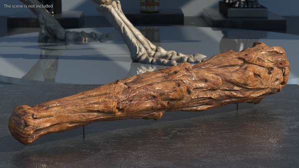 3D Prehistoric Wooden Caveman Club model - TurboSquid 1729564