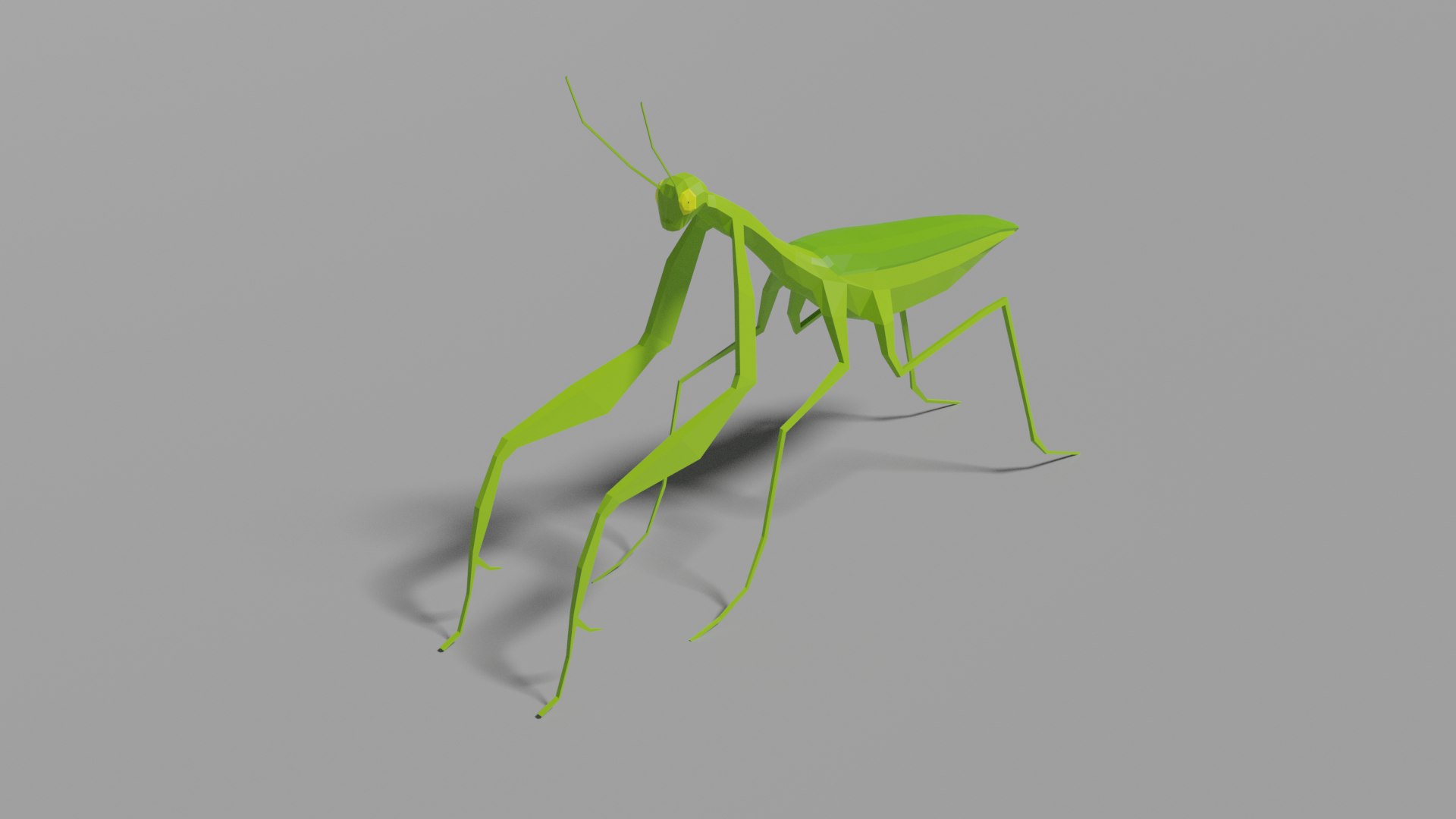 3D Low-poly Mantis Model - TurboSquid 1777220