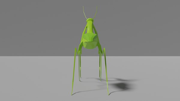 3D Low-poly Mantis model - TurboSquid 1777220