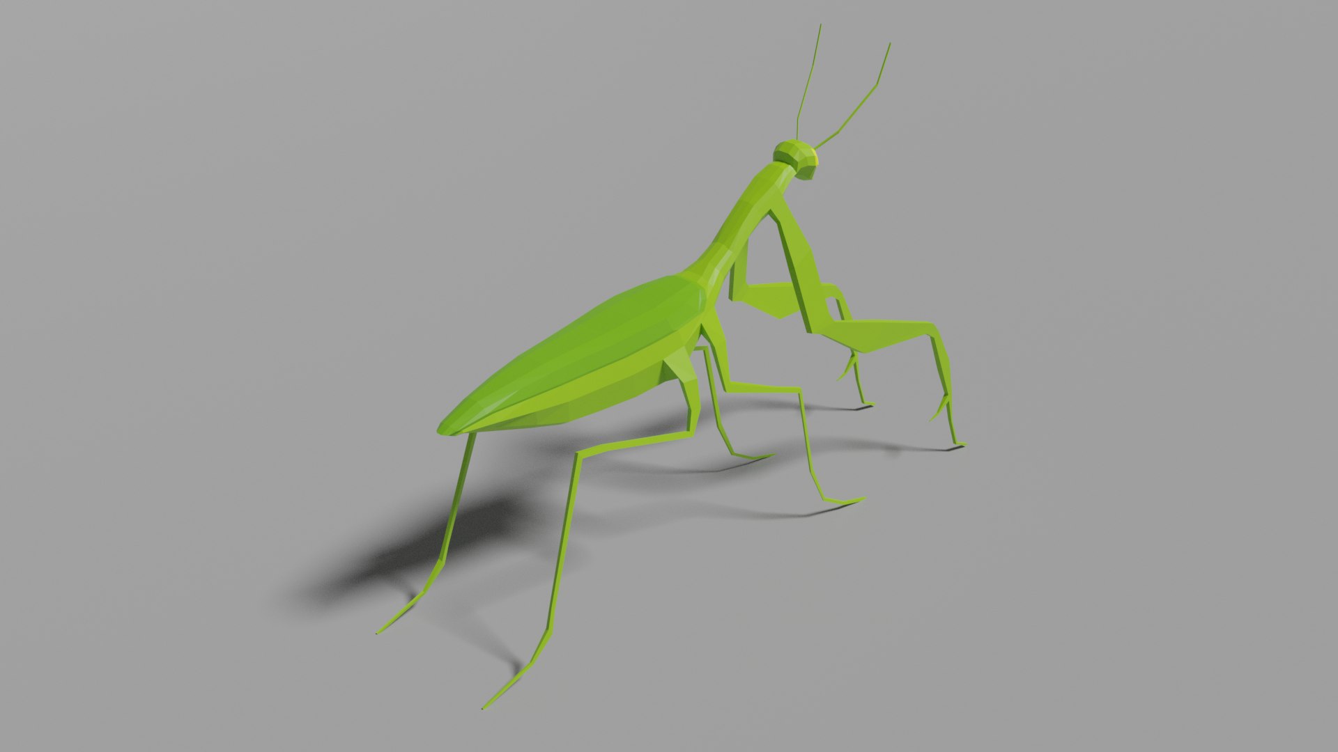3D Low-poly Mantis Model - TurboSquid 1777220