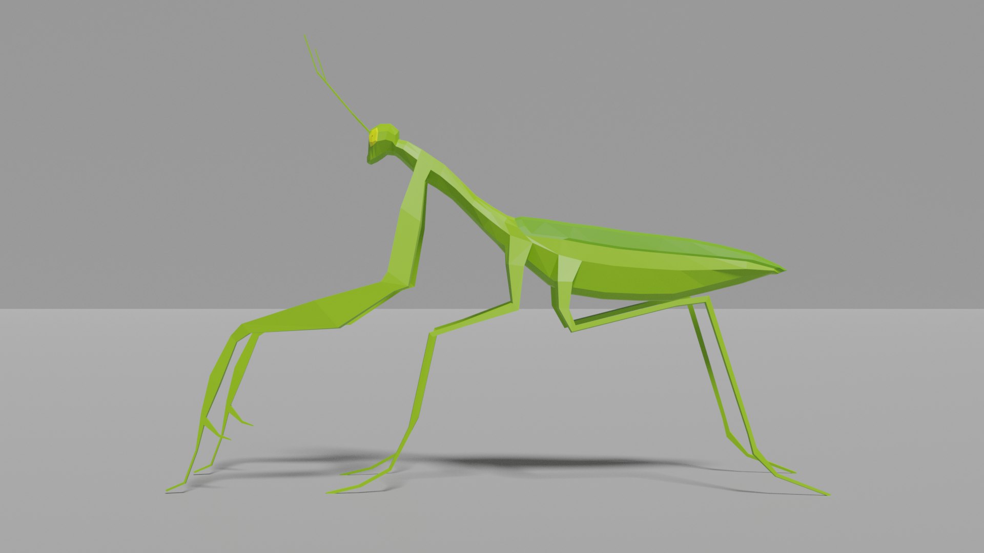 3D Low-poly Mantis Model - TurboSquid 1777220