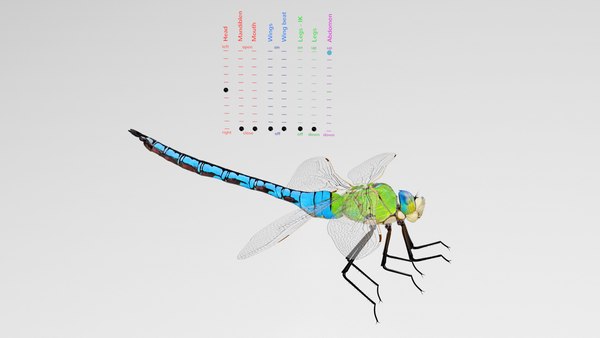 modelo 3d Imperator Anax - TurboSquid 1727563