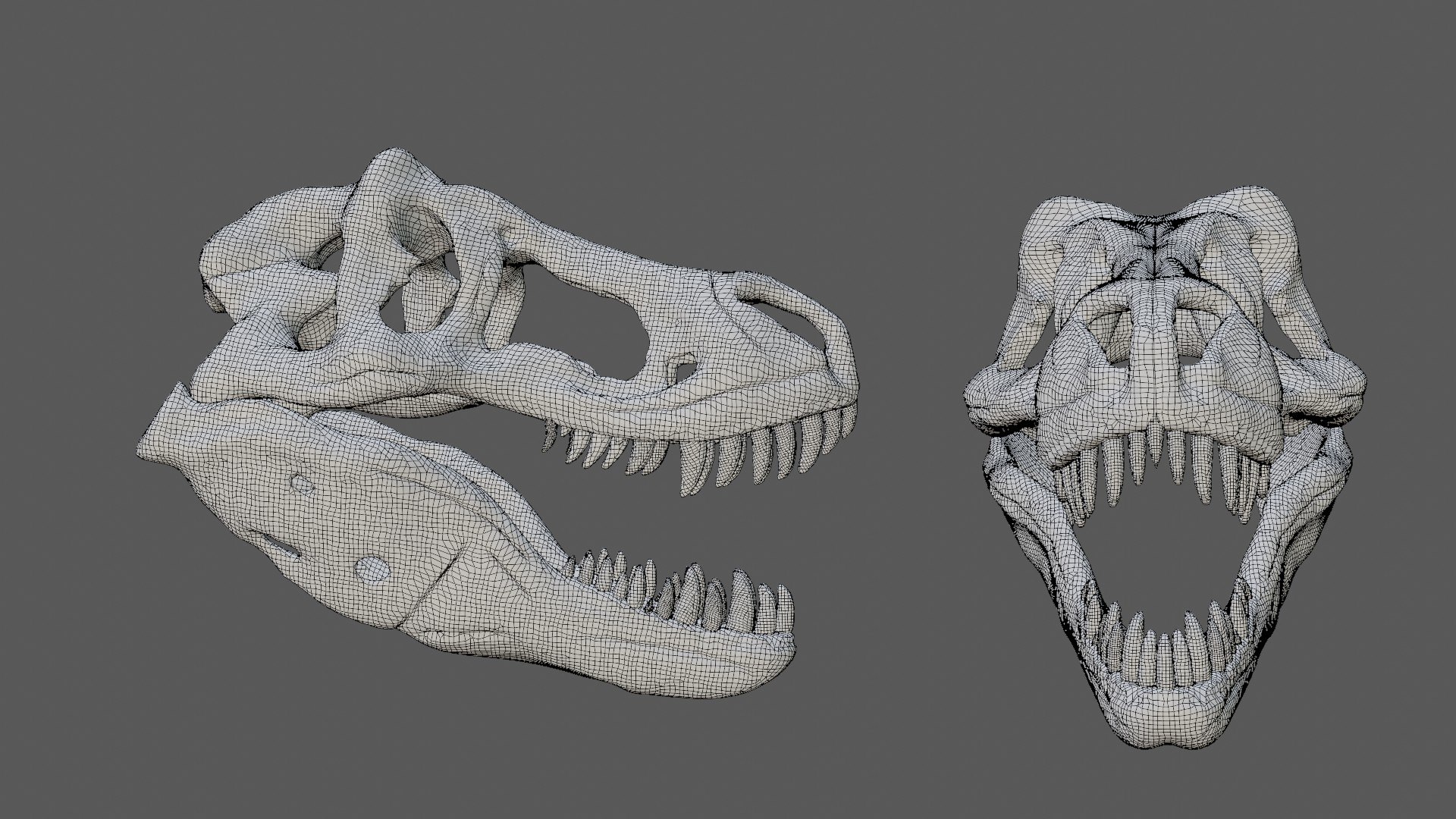 T-rex Skull 3D Model - TurboSquid 1778271