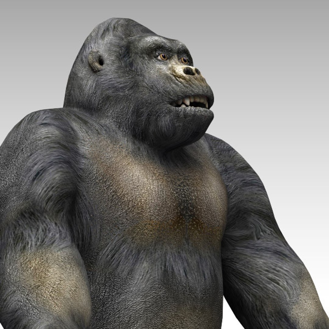 3d Gorilla Model
