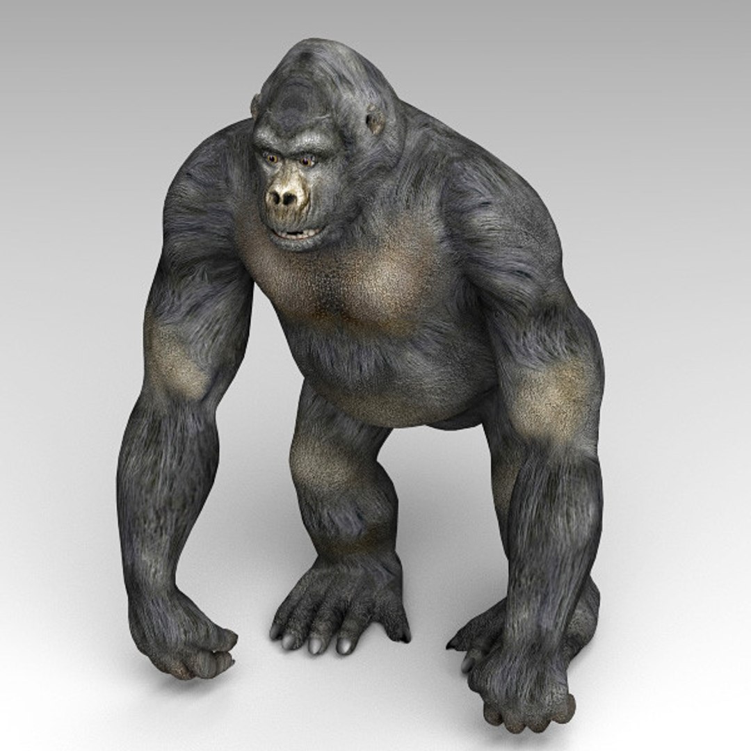 3d Gorilla Model