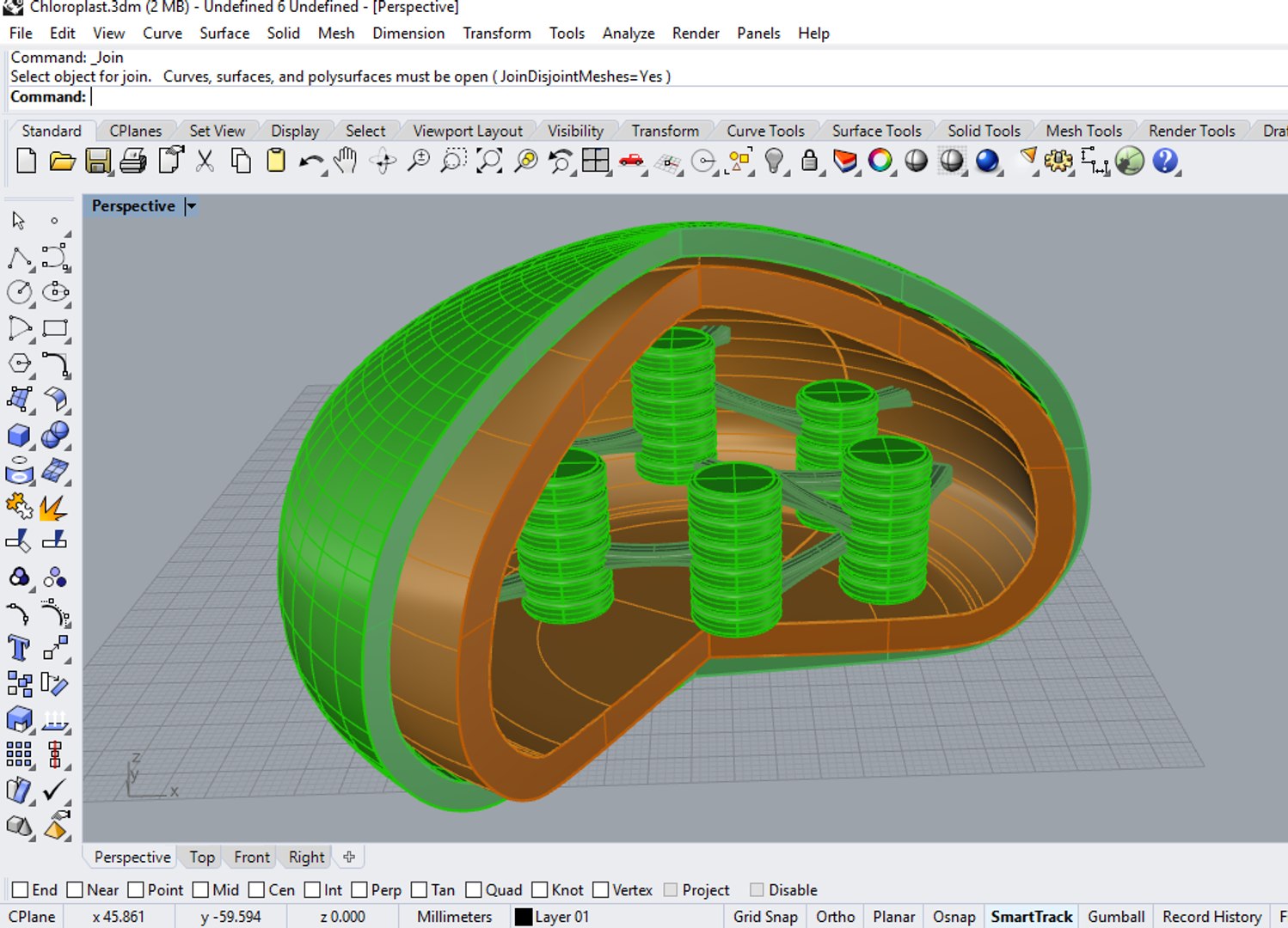 Chloroplasts Cells 3D Model - TurboSquid 1439247