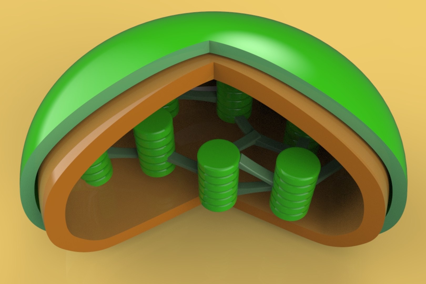 Chloroplasts Cells 3D Model - TurboSquid 1439247