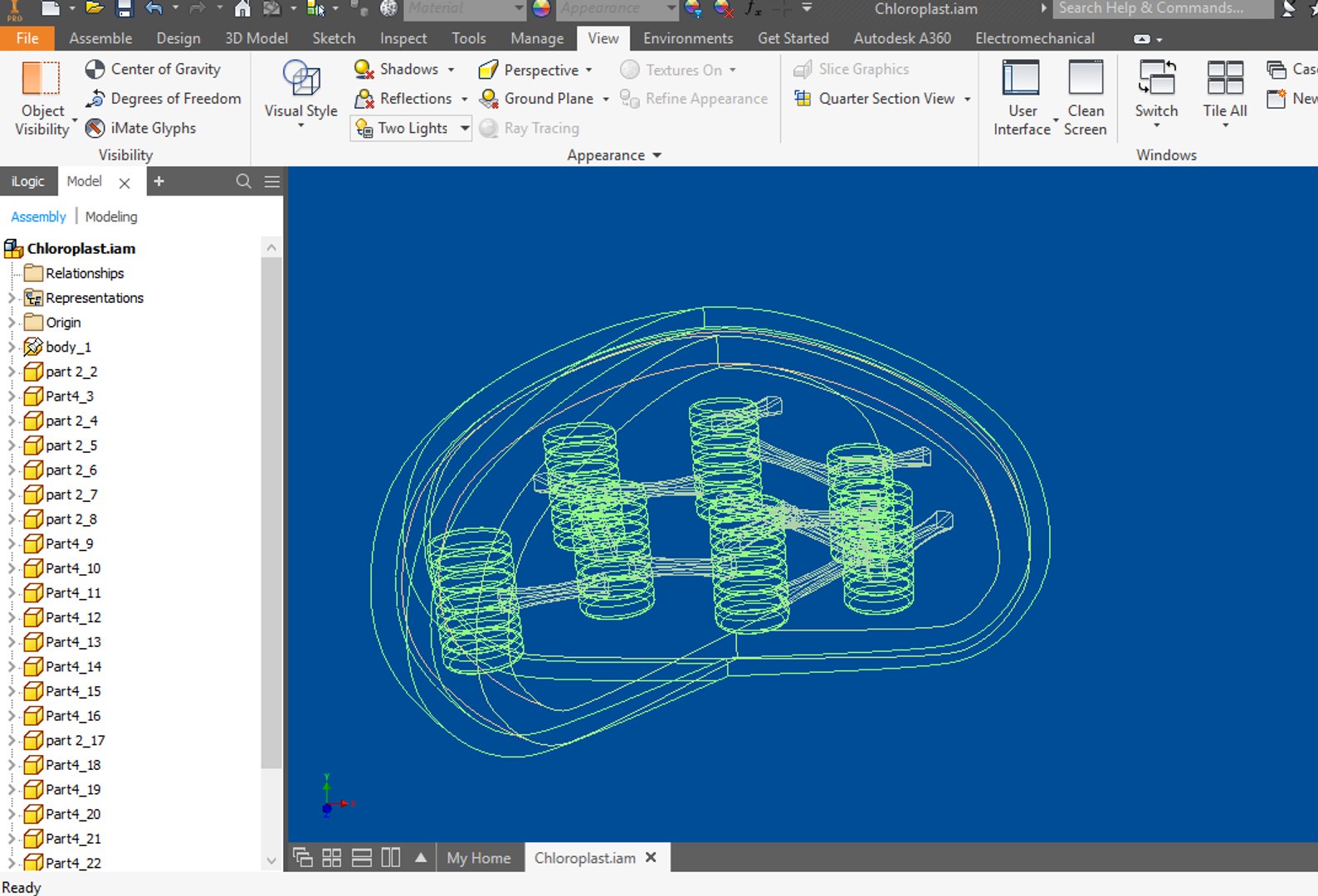 Chloroplasts Cells 3D Model - TurboSquid 1439247