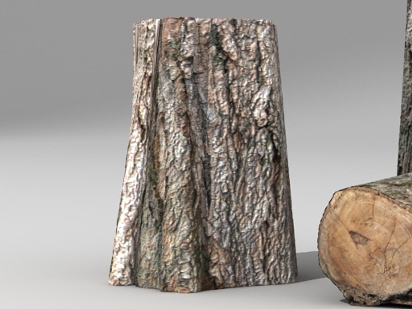 3d Model Trunks Standard