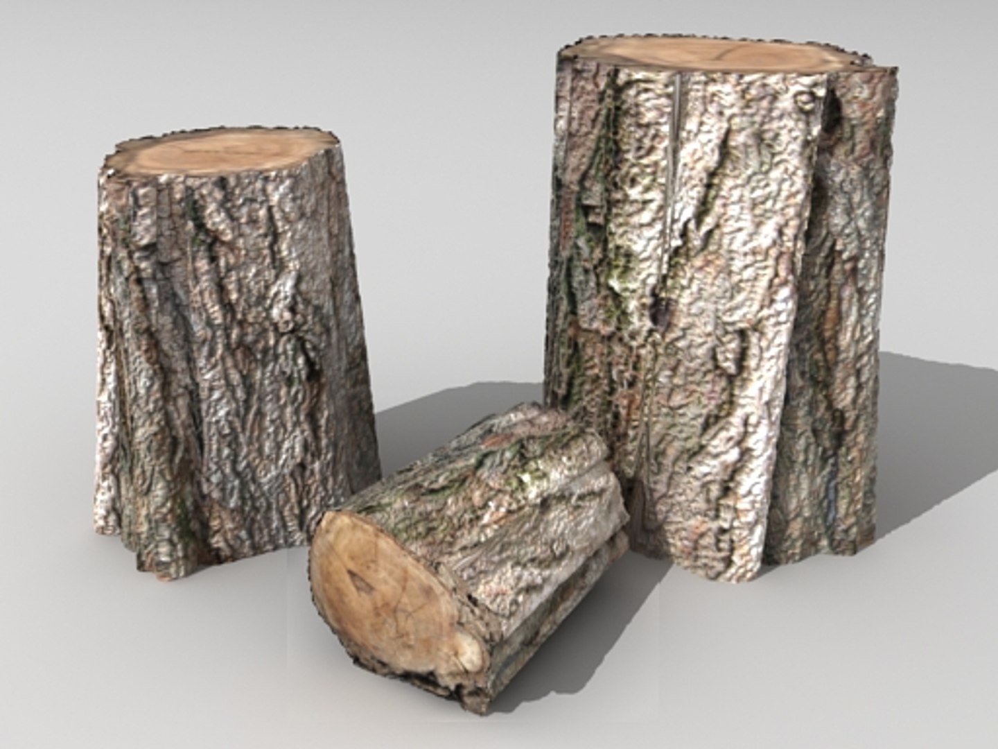 3d Model Trunks Standard