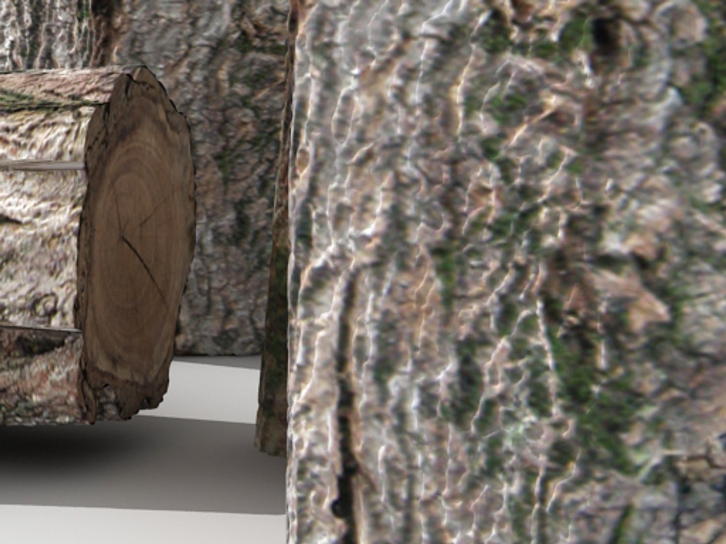 3d Model Trunks Standard