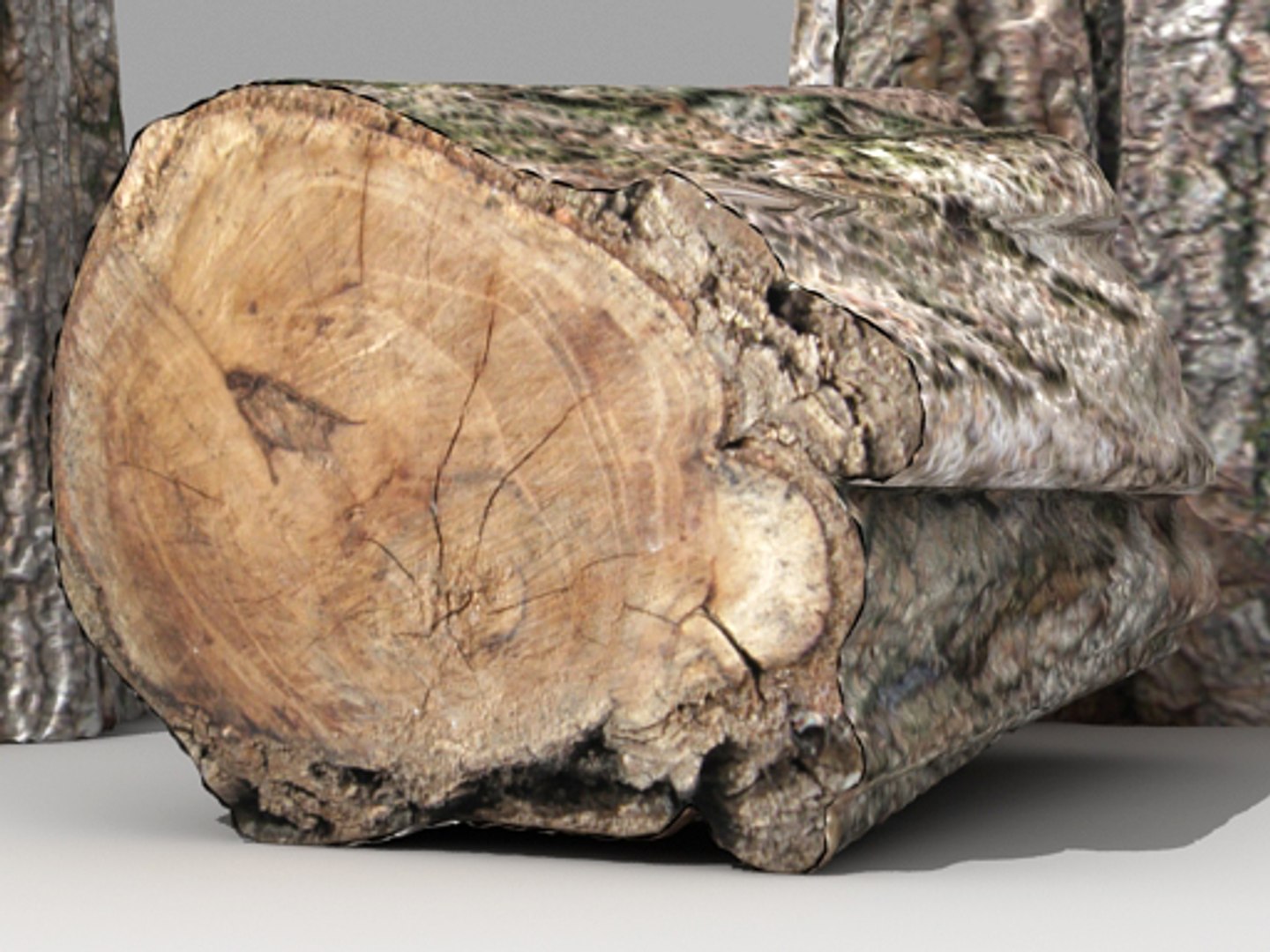 3d Model Trunks Standard