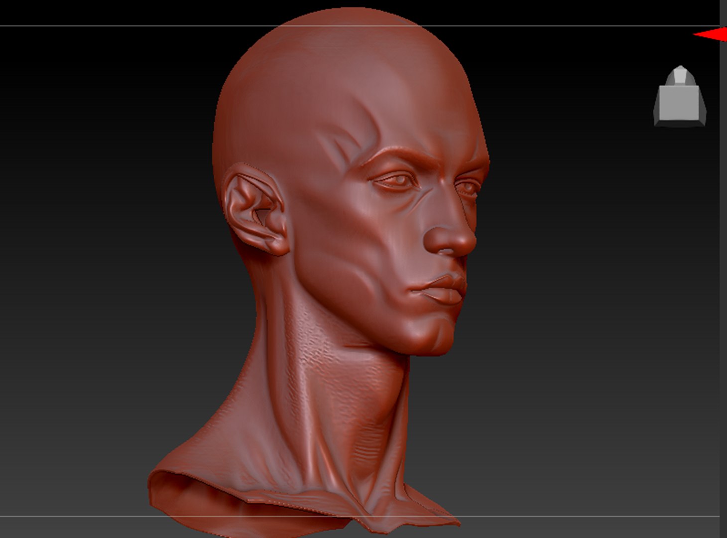 Original Man Facial Head Sculpture Details Character Design 3D Model ...