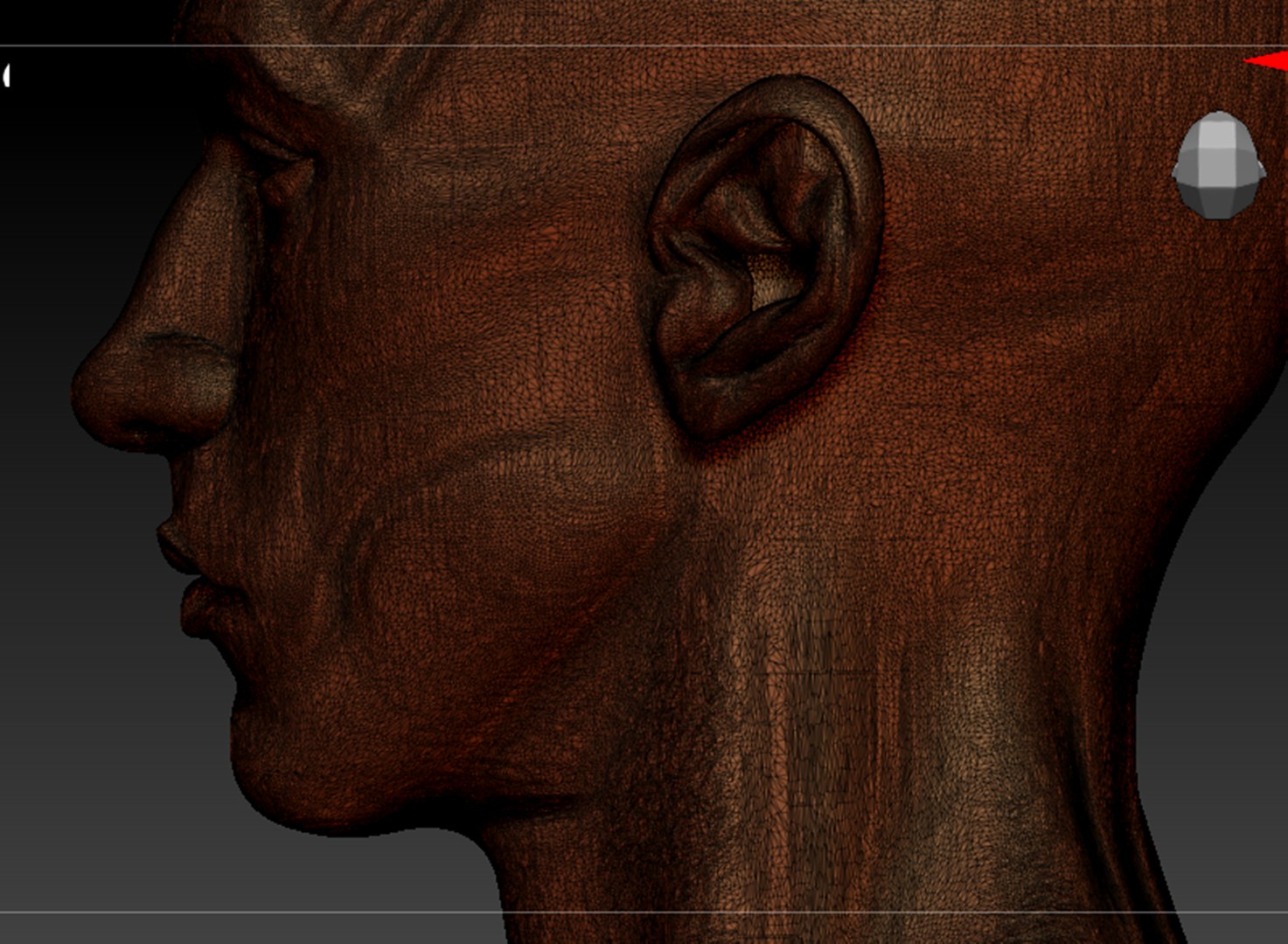 Original Man Facial Head Sculpture Details Character Design 3D Model ...