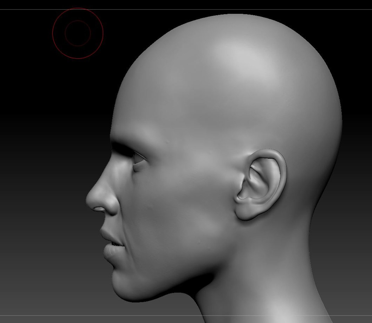 Obj Realistic Woman Head