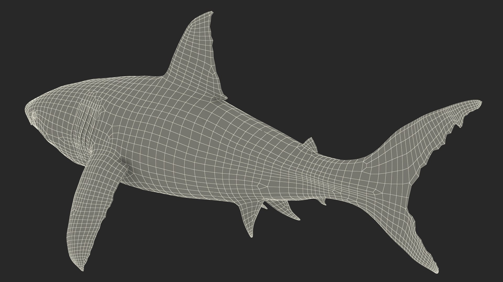 Great White Shark Blood Stained 3D model - TurboSquid 2140552