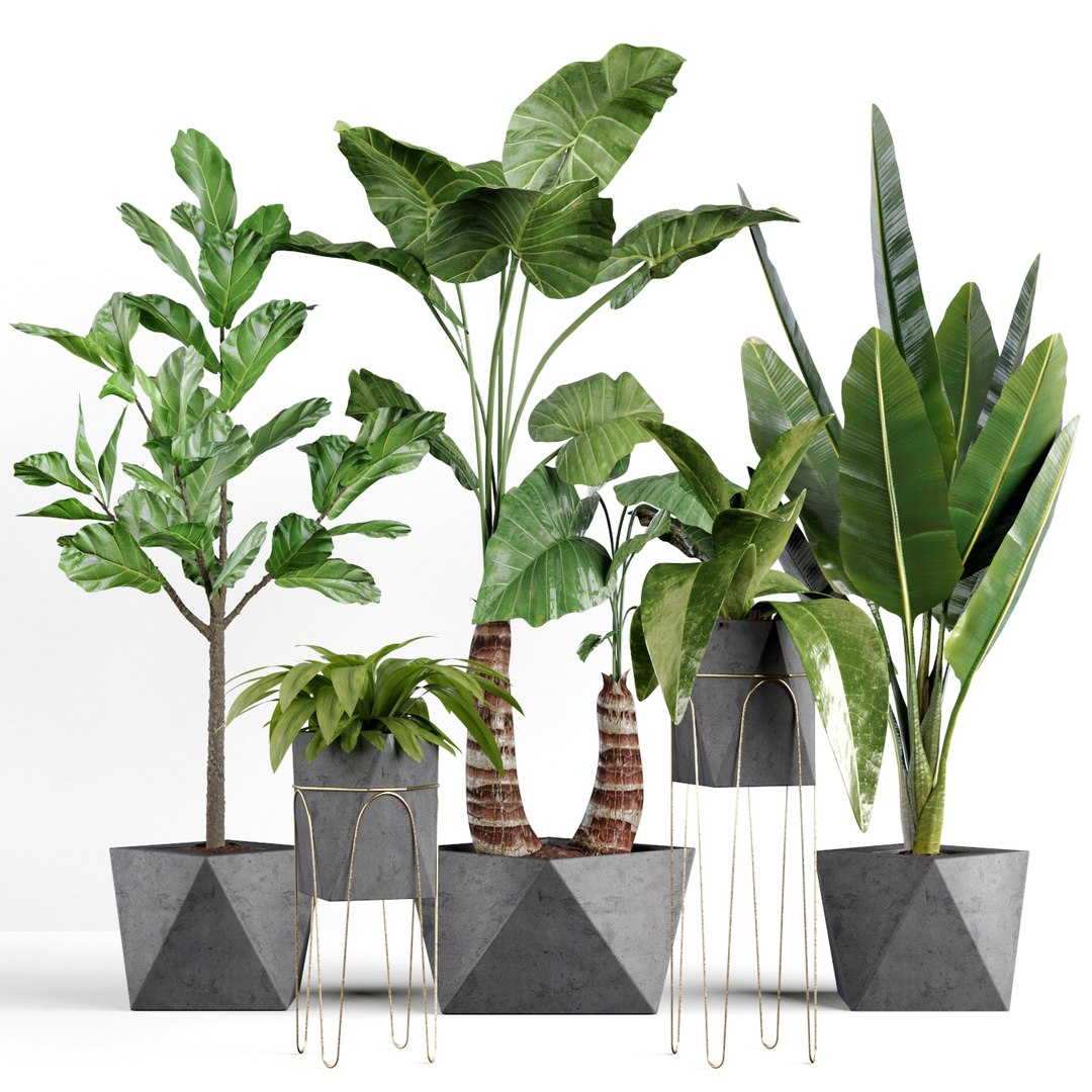 3D tree nature plant model - TurboSquid 1491144