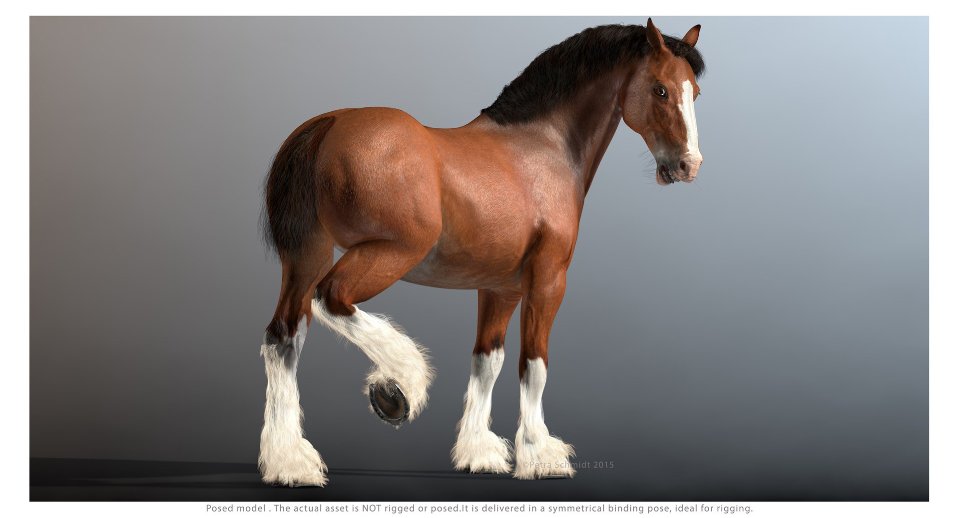 cinema4d clydesdale draft-horses