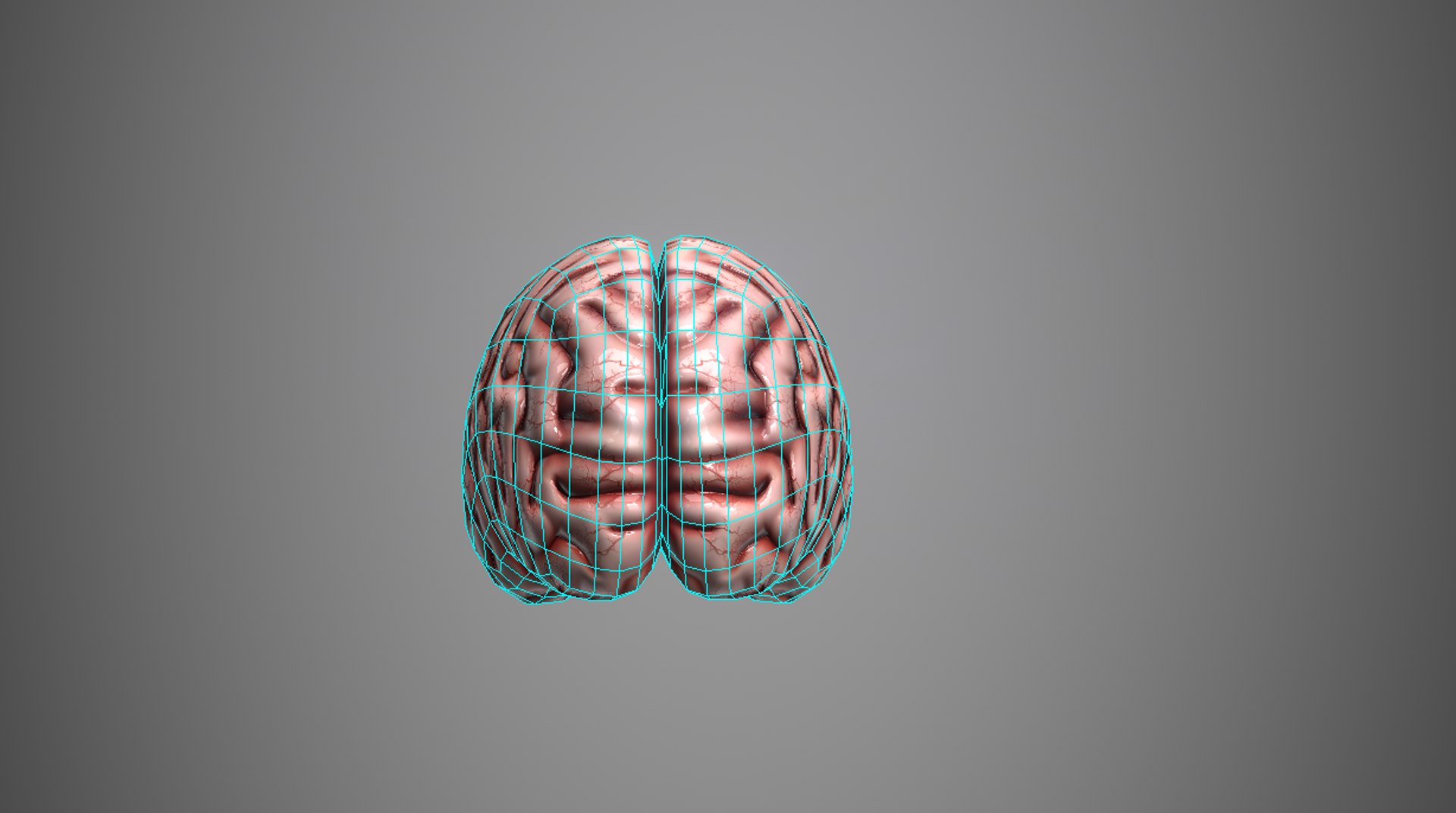 3d Brain