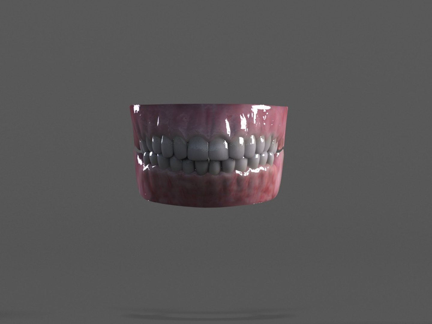 3d Model Teeth Gums