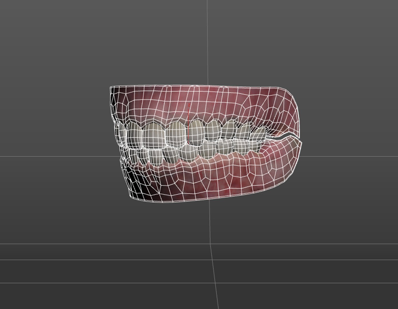 3d Model Teeth Gums