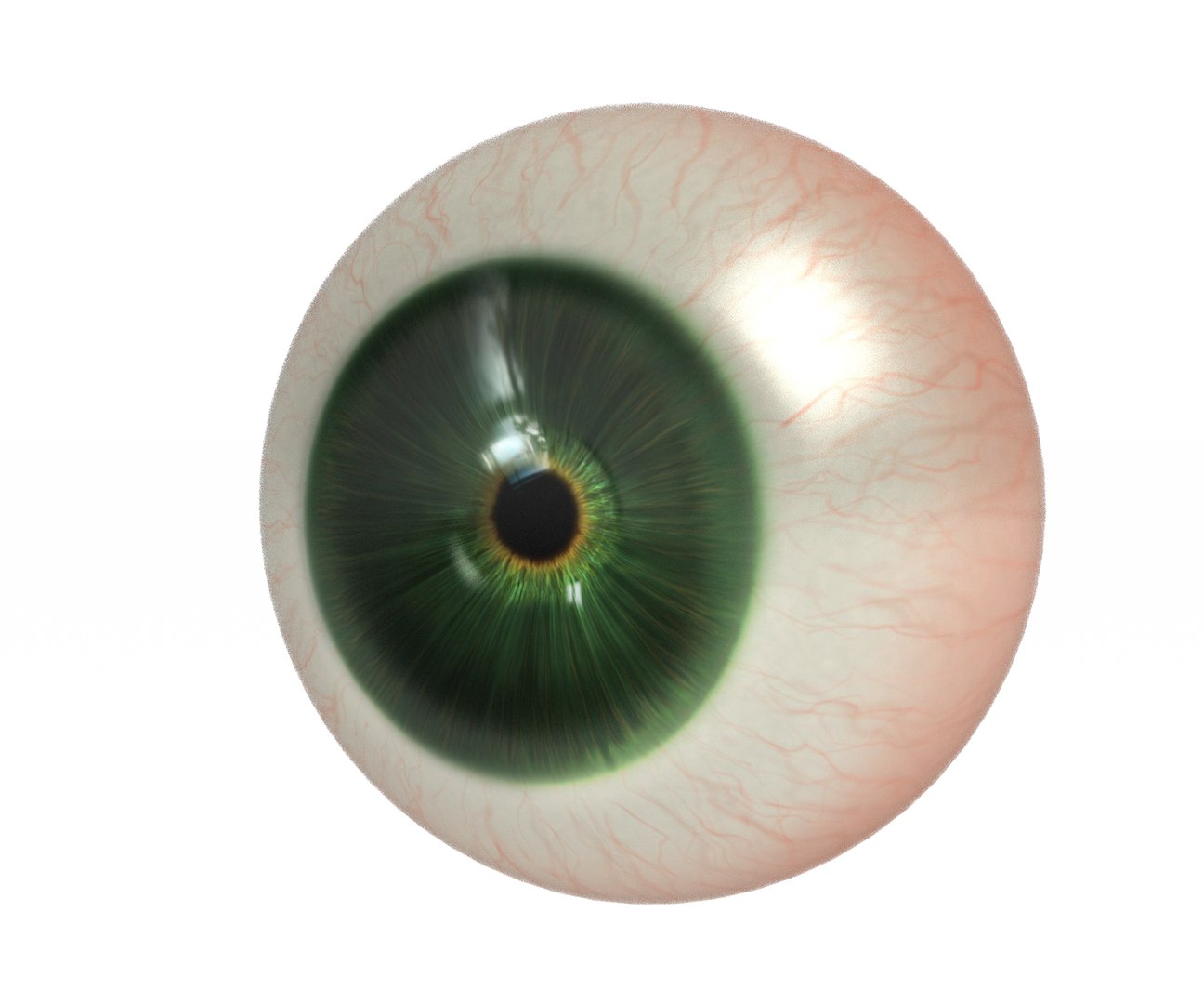 3D Model Eye Ball - TurboSquid 1916721