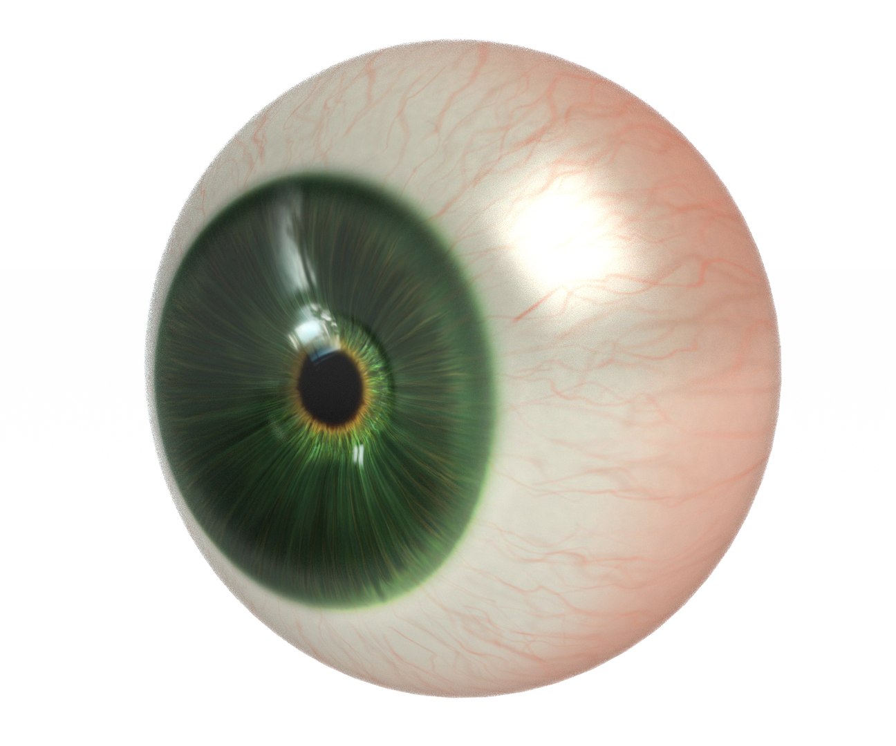 3D Model Eye Ball - TurboSquid 1916721