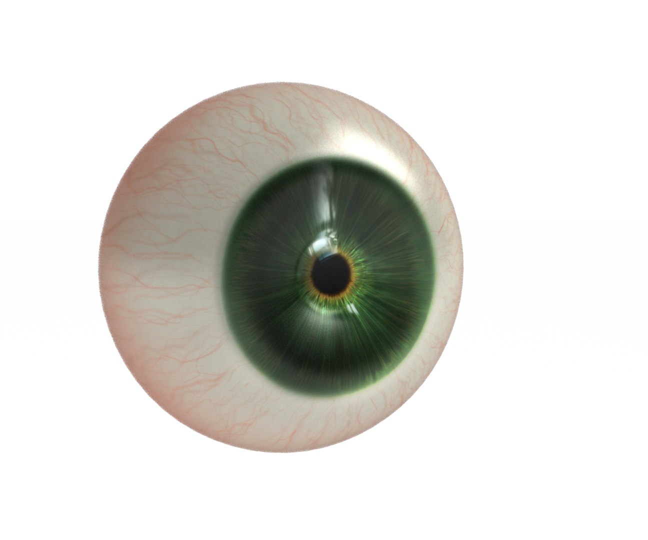 3D Model Eye Ball - TurboSquid 1916721