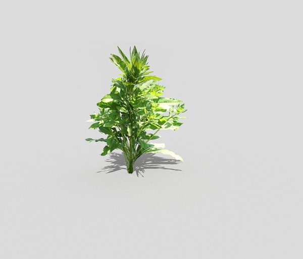 3d plant model
