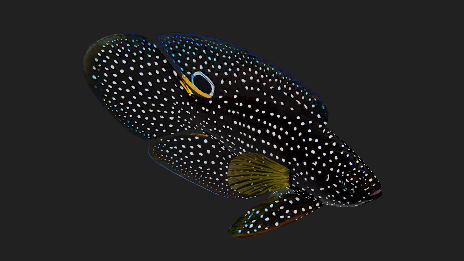 Plesiops 3D - TurboSquid 2122912