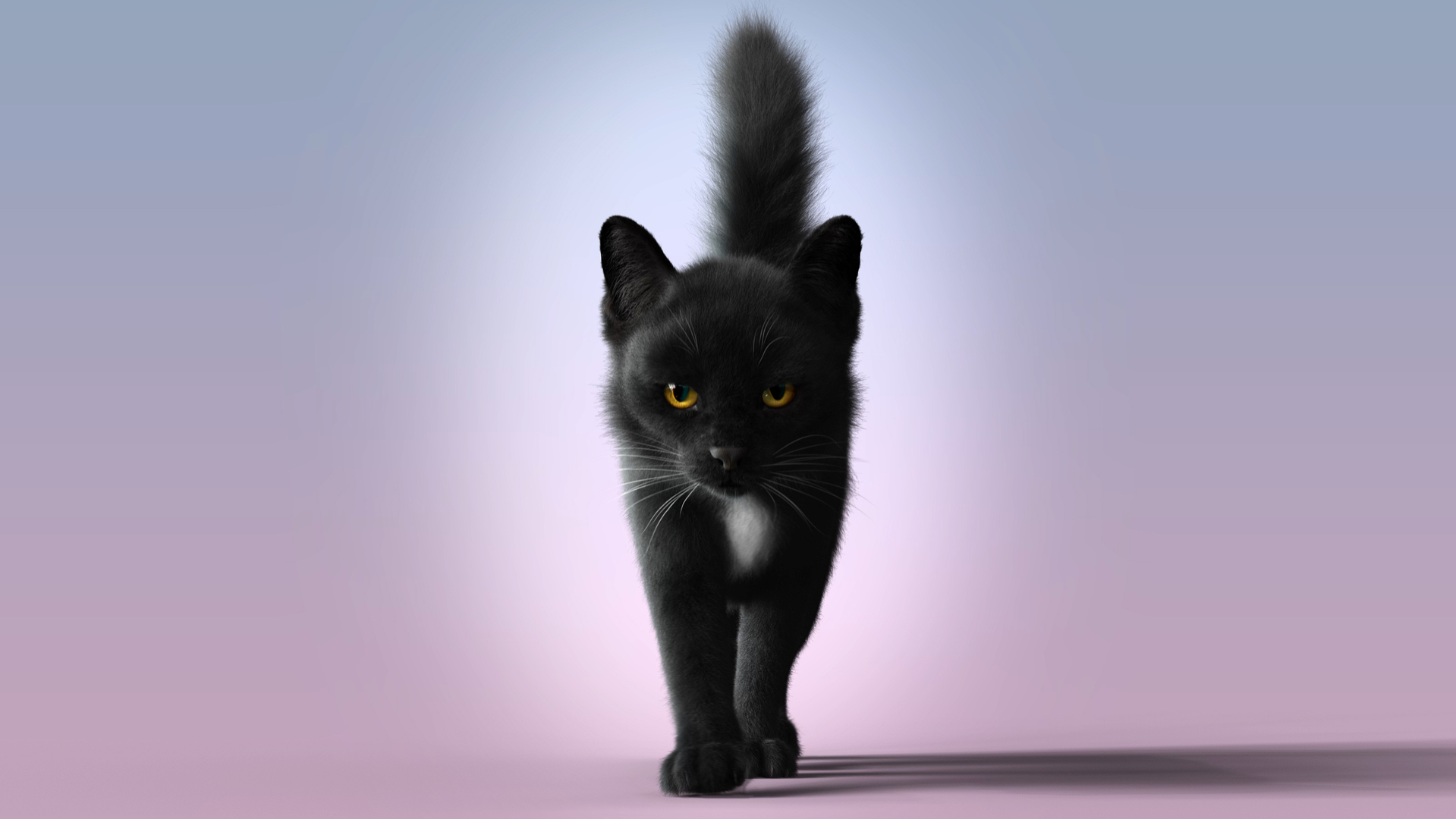 Cat Black ANIMATED - YETI Version Model - TurboSquid 2117807
