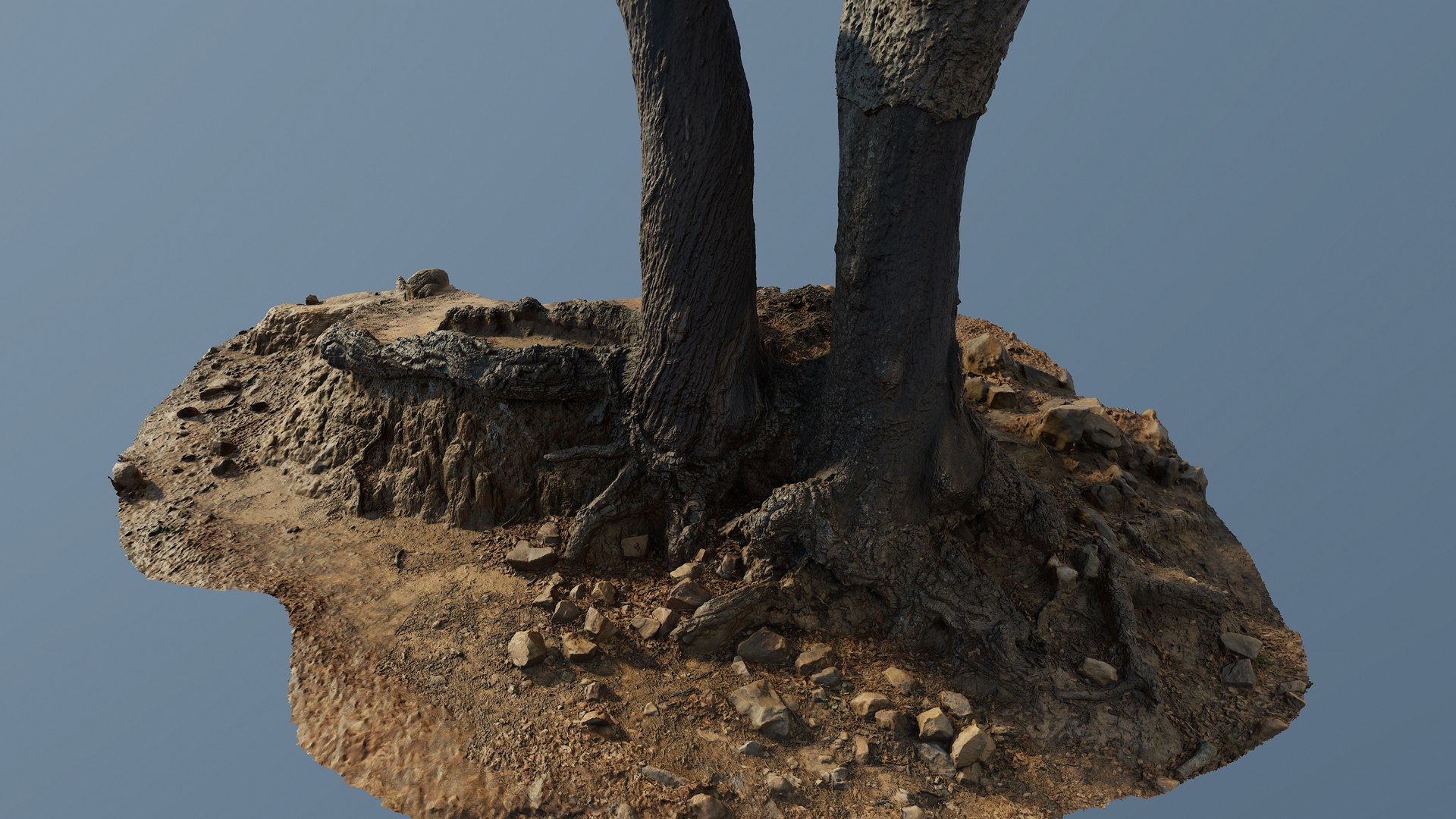 3D treeroots01 - TurboSquid 1963791