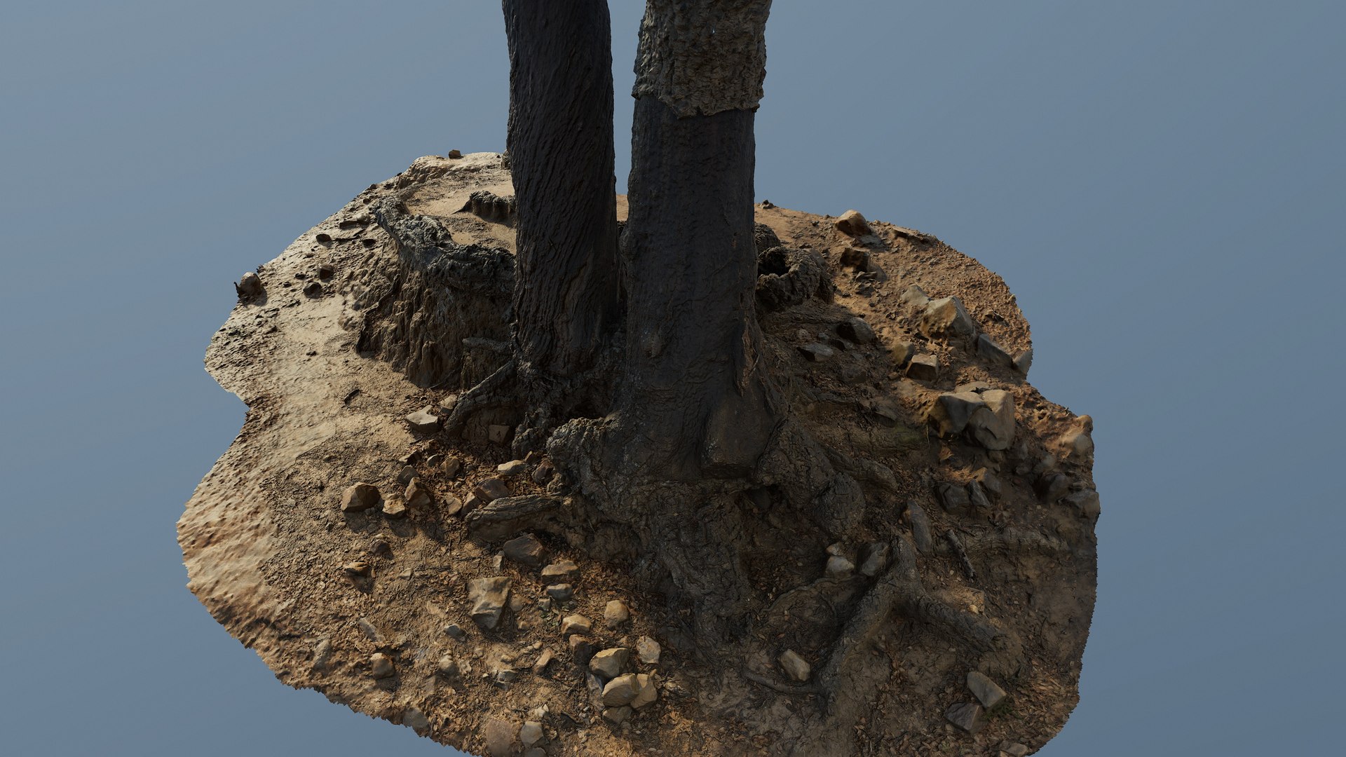 3D Treeroots01 - TurboSquid 1963791
