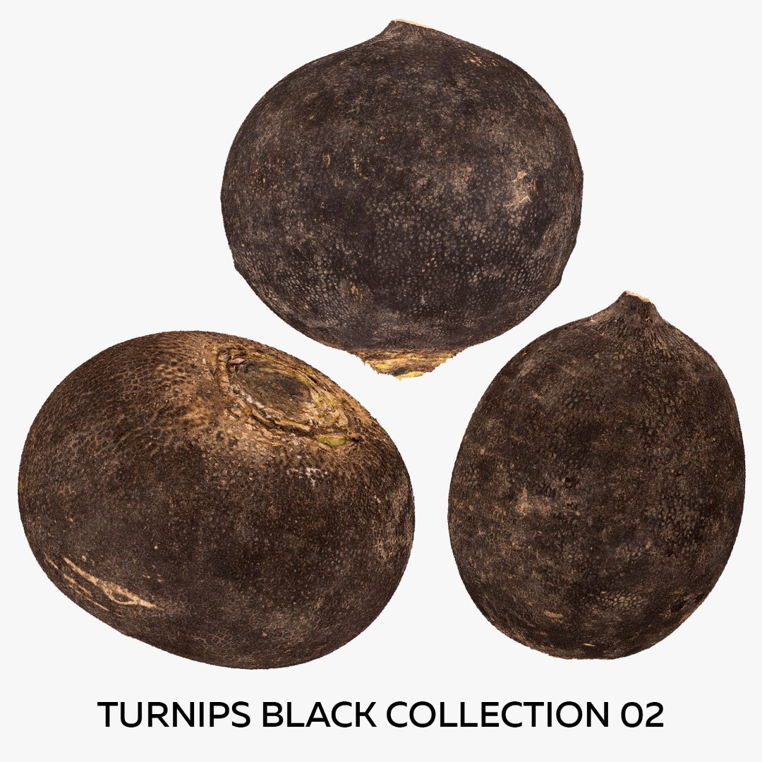 Turnips Black Collection 02 - 3 Models RAW Scans Model - TurboSquid 1836362