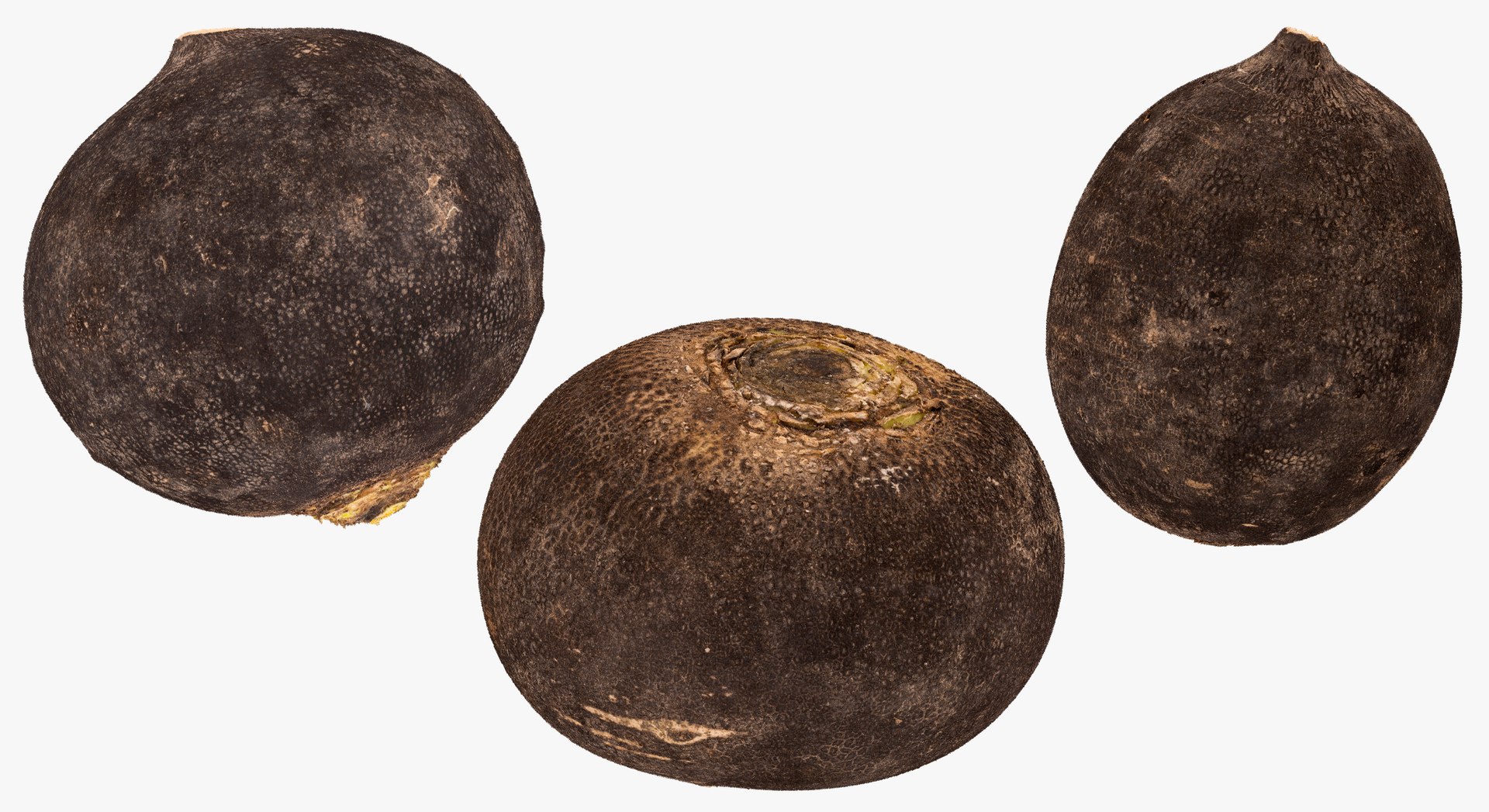 Turnips Black Collection 02 - 3 Models RAW Scans Model - TurboSquid 1836362