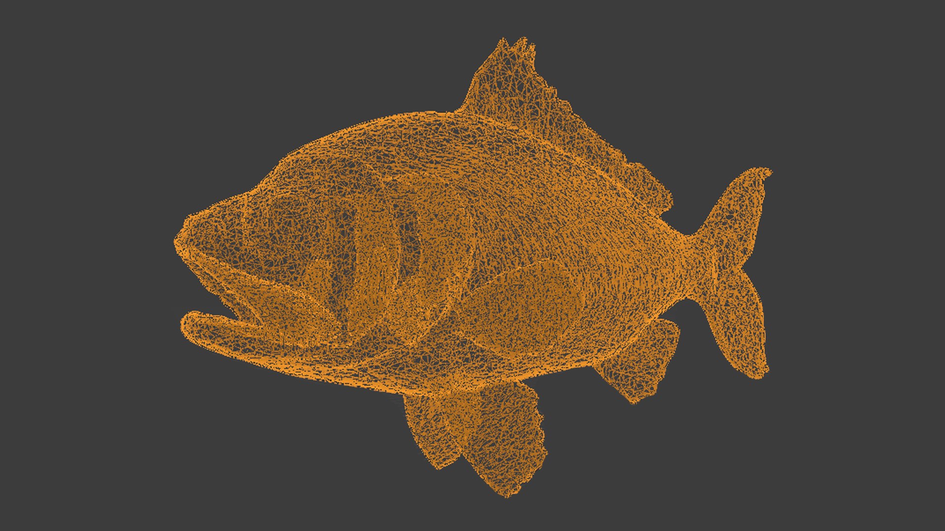 Piranha Fish 3D Model - TurboSquid 2317989