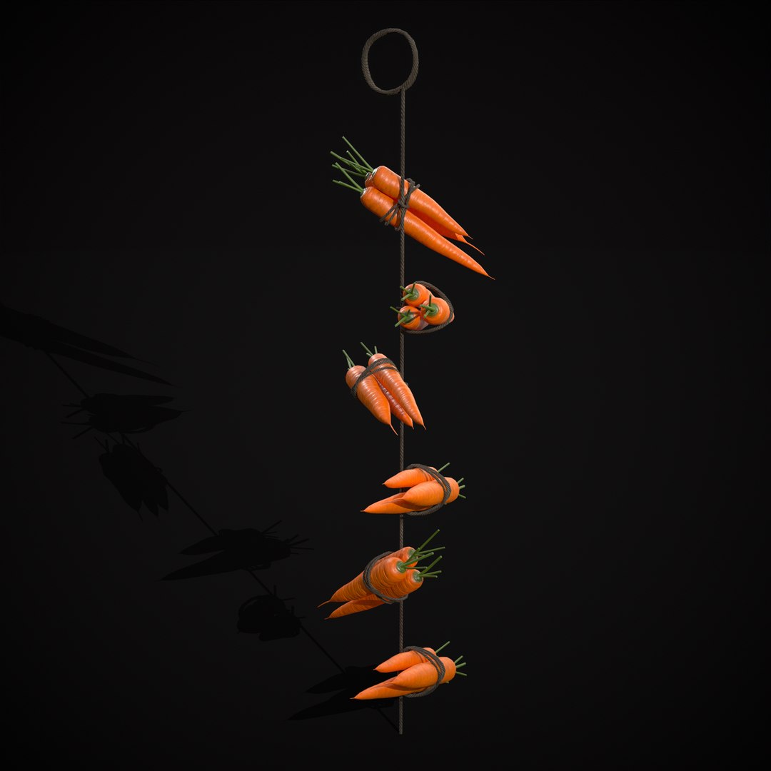 Hanging Carrots 3D Model - TurboSquid 2202916