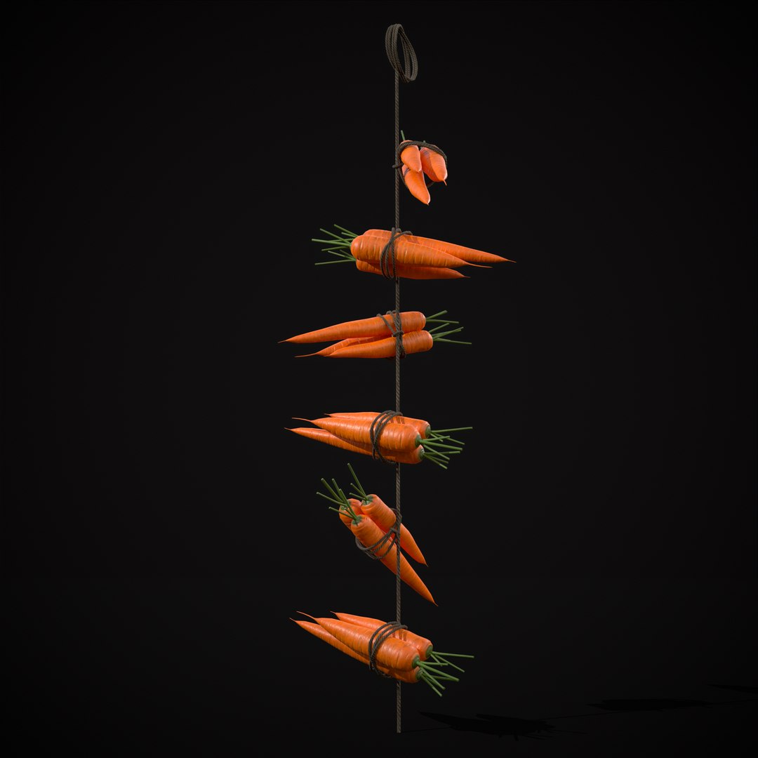 Hanging Carrots 3D Model - TurboSquid 2202916
