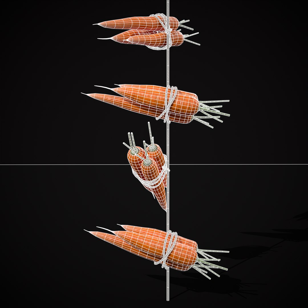 Hanging Carrots 3D Model - TurboSquid 2202916