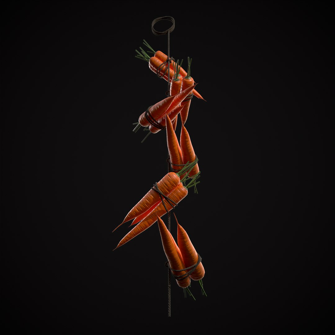 Hanging Carrots 3D Model - TurboSquid 2202916