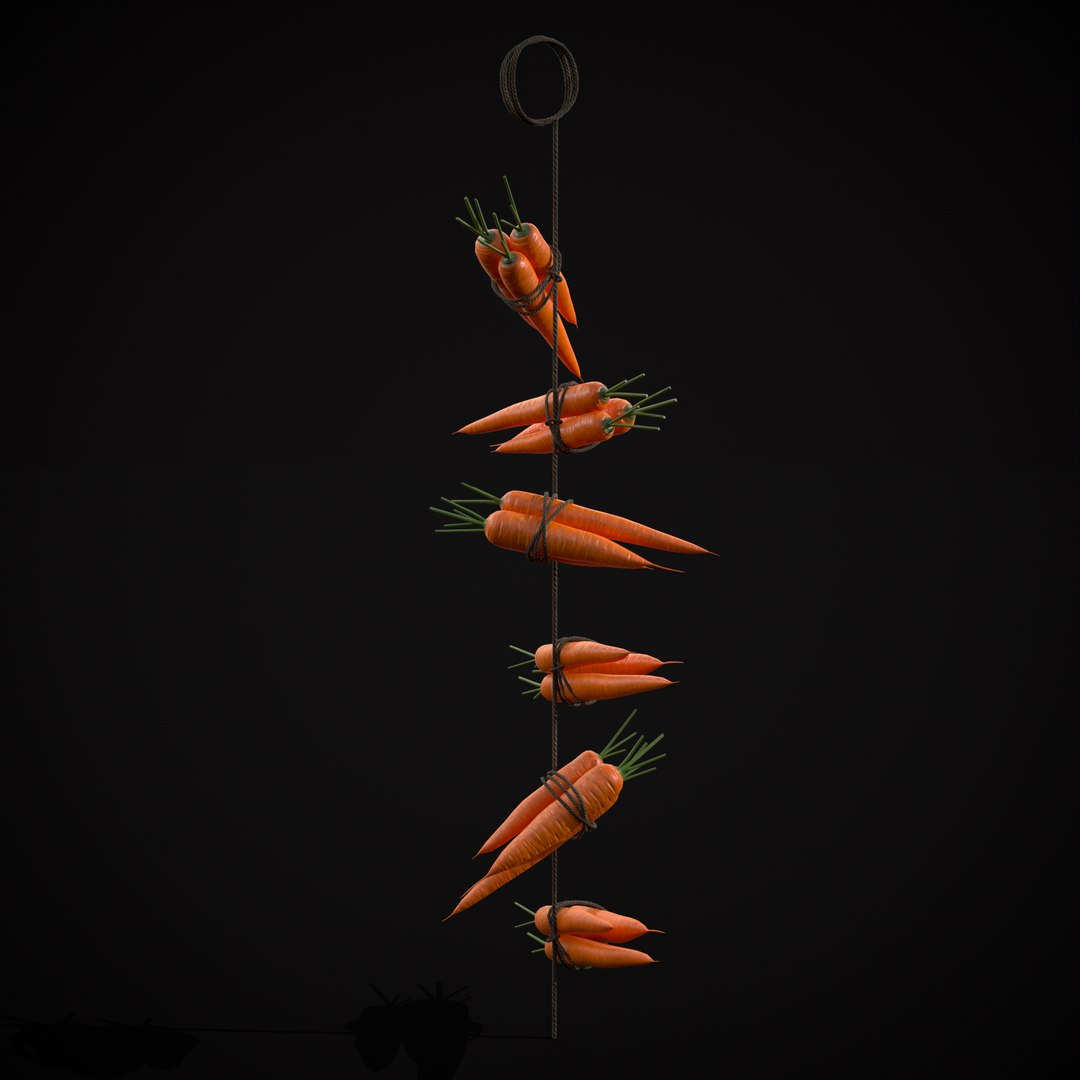 Hanging Carrots 3D Model - TurboSquid 2202916