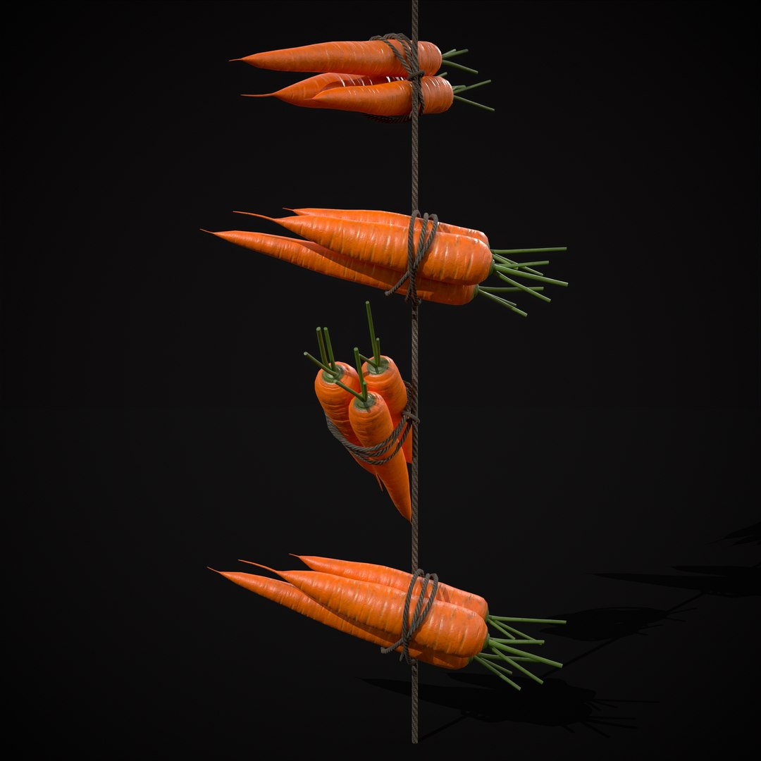 Hanging Carrots 3D Model - TurboSquid 2202916