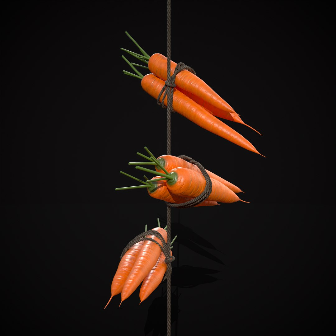 Hanging Carrots 3D Model - TurboSquid 2202916