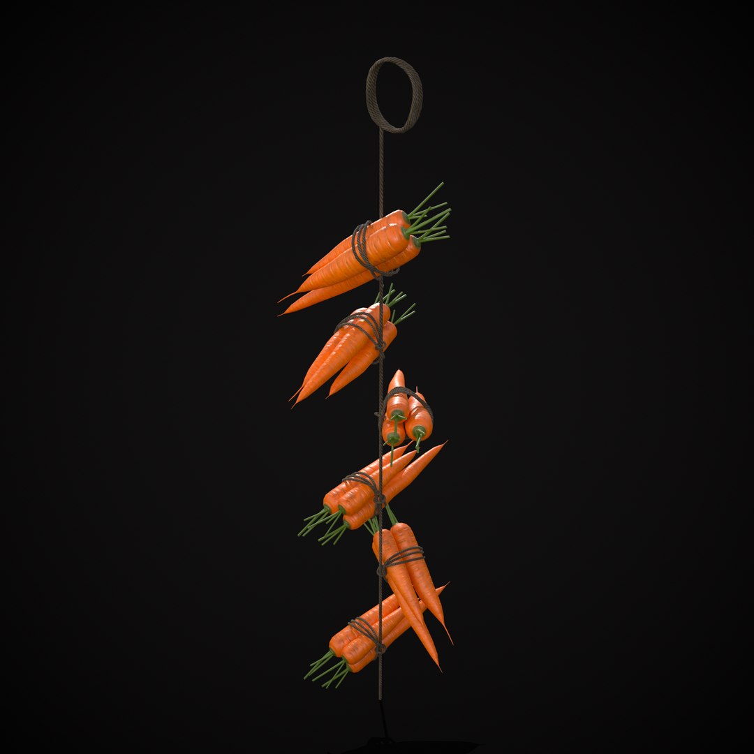 Hanging Carrots 3D Model - TurboSquid 2202916