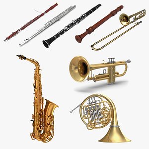 Wind instruments 2 3D model - TurboSquid 1231759
